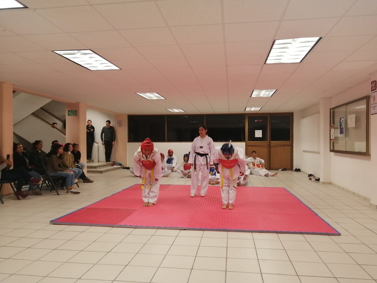 Estudiantes de Taekwondo del ITSPP realizan examen de evaluación y ...